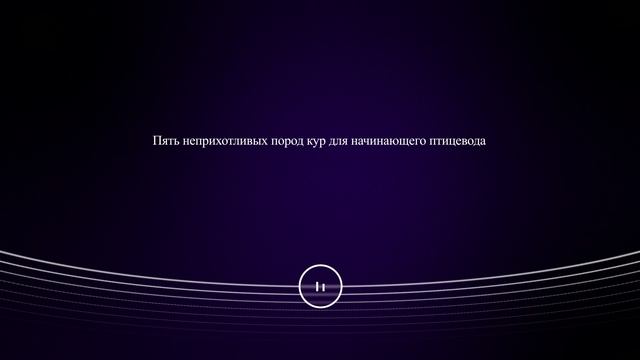 Пять неприхотливых пород кур для начинающего птицевода