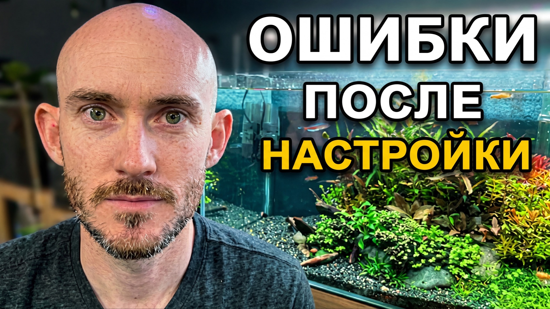 Поддержание хорошего состояния пресноводного аквариума
