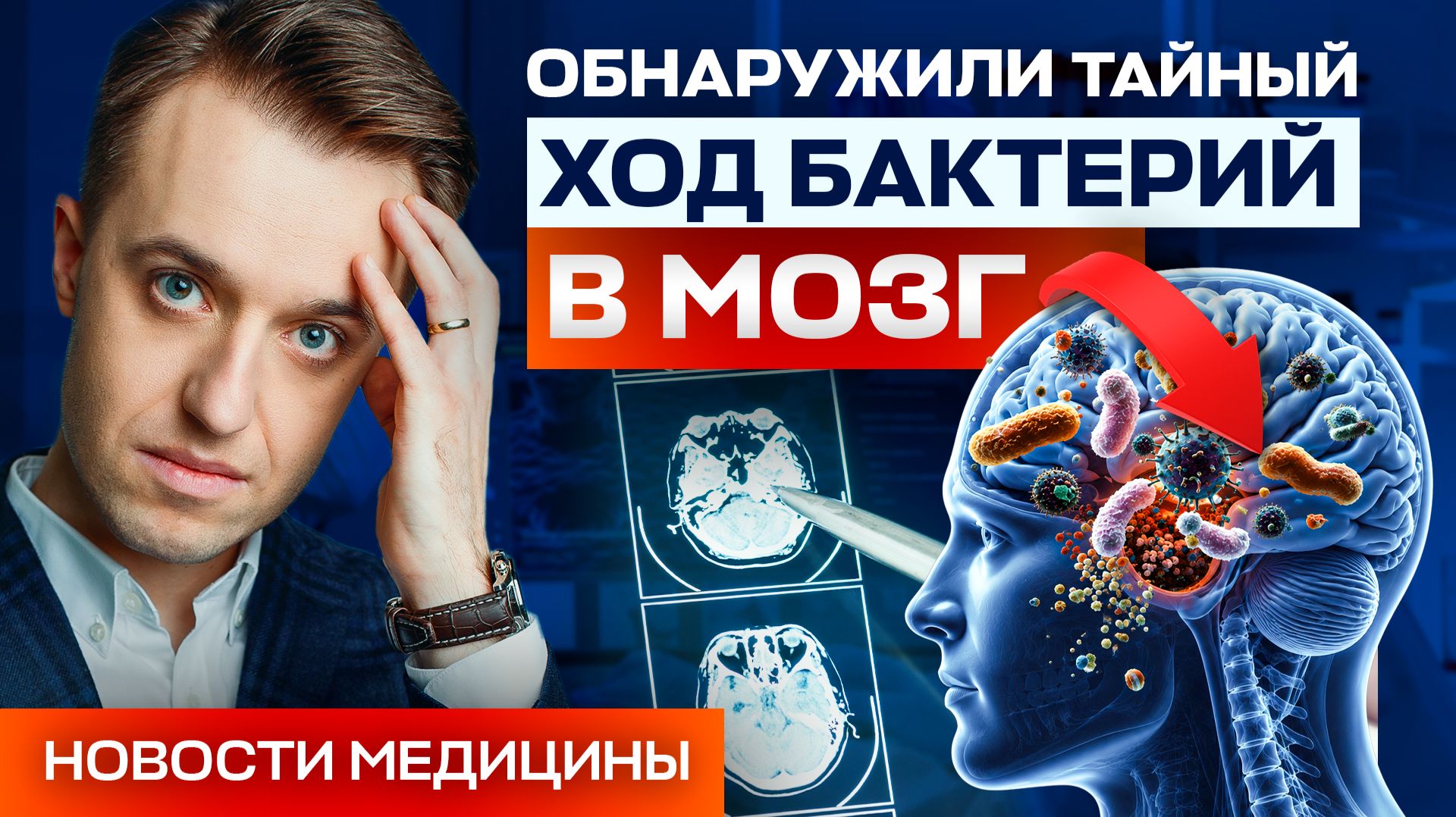Жирная пища разрушает мозг? Разбираем новые исследования в области питания