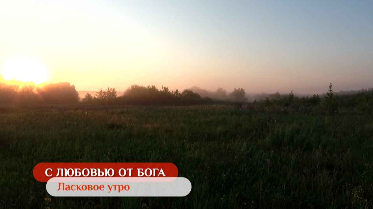 Ласковое утро | С любовью от Бога