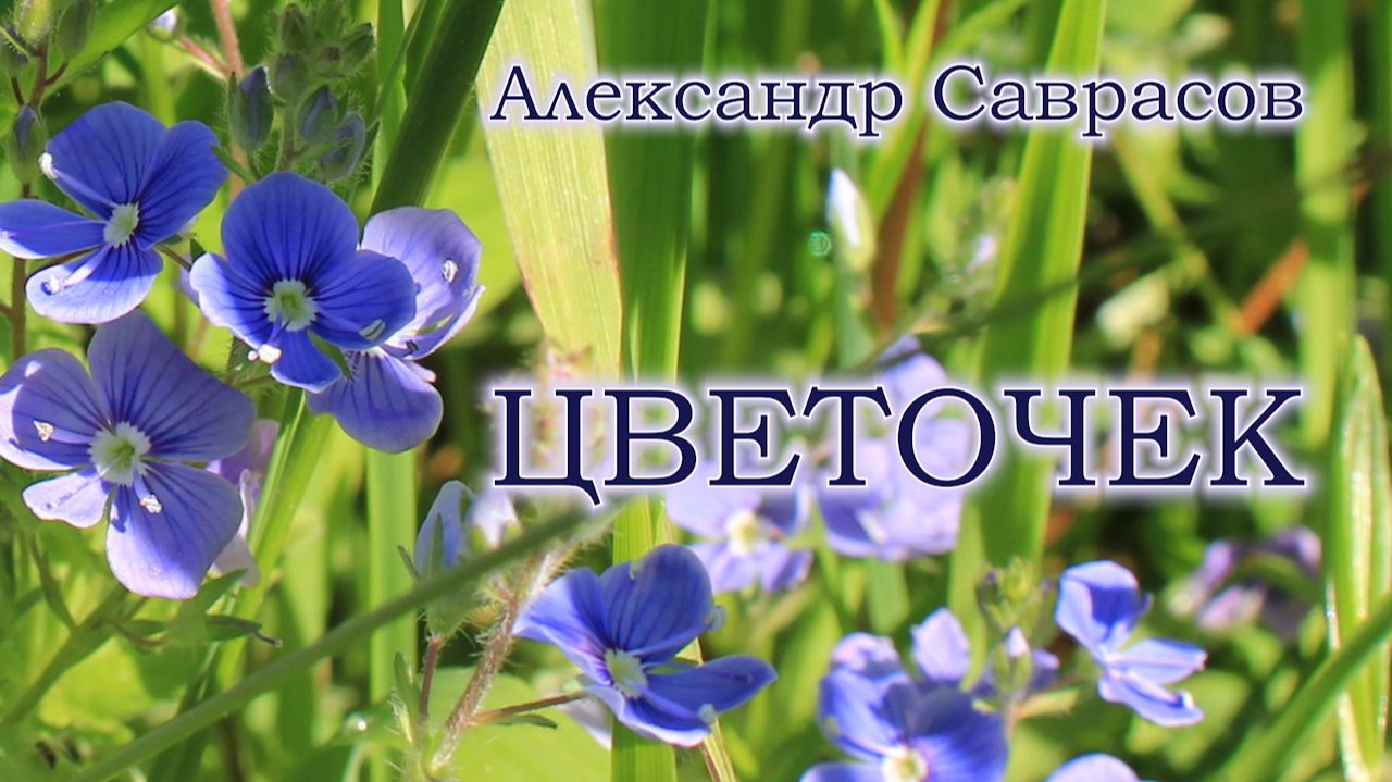 Цветочек - Александр Саврасов