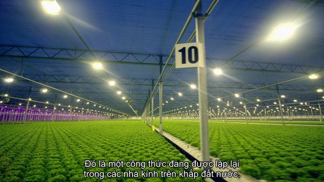 EP01. The Netherlands - Hà Lan