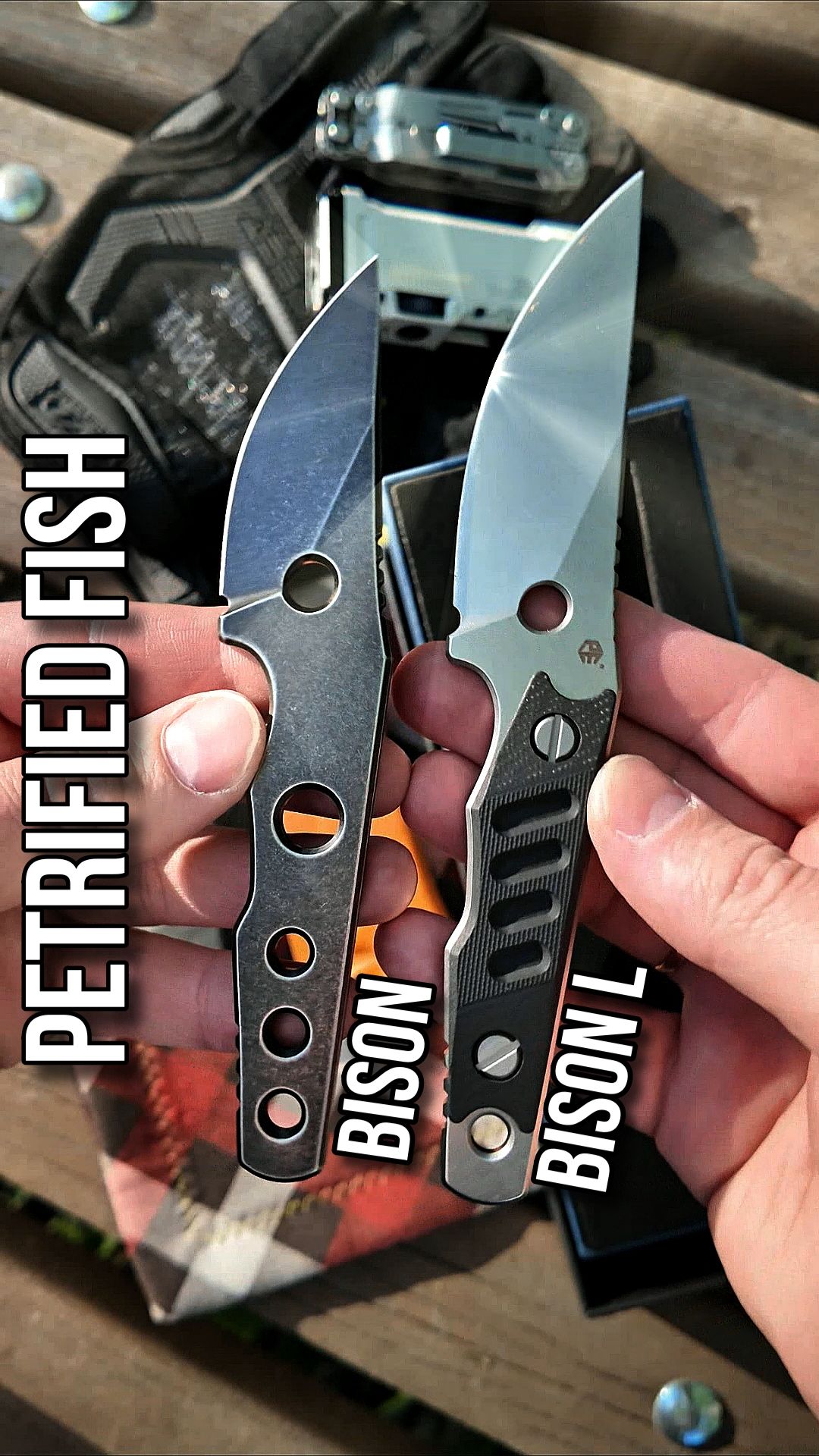 🔥 Нож PETRIFIED FISH Bison L-PFE18 #edc #edcknife #petrifiedfish #Skeletonknife #unboxing #everyday