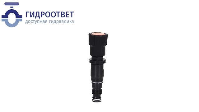 DB6K1-4X/200Y Предохранительный клапан Rexroth (Китай)