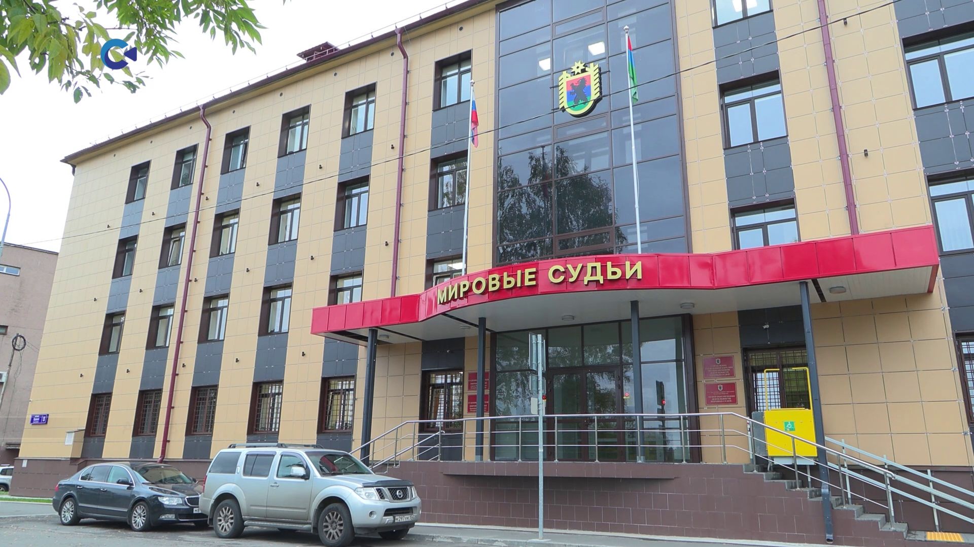В Петрозаводске вынесли приговор мужчине, который прошлым летом выбросил с пятого этажа котёнка