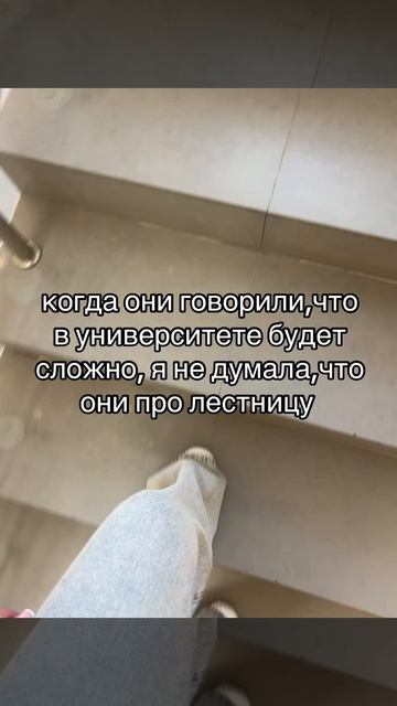 Когда универ сказал: "Будет тяжело", мы такие: "Окей, ждем лекций и сессий"...