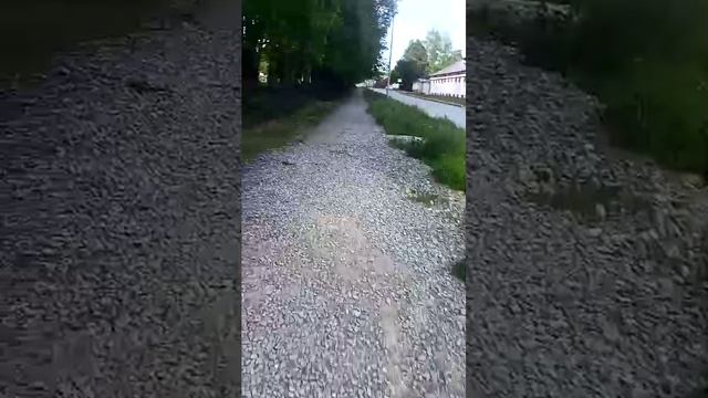 вечерний стрим