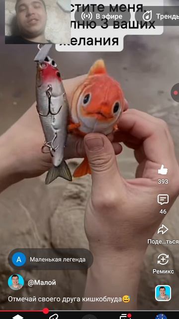 Отмечай своего друга кишкоблуда (РЕАКЦИЯ НА IDONTFIRST)