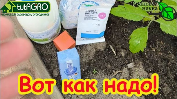❌ Хватит тратить деньги ЗРЯ! 💣5 бомбических ПОДКОРМОК своими руками из того, что всегда есть дома.