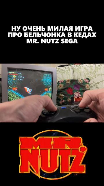 ВЫ ТОЧНО НЕ ИГРАЛИ В ЭТОГО БЕЛЬЧОНКА 🐿️🔥 #retroлеха #sega #shorts