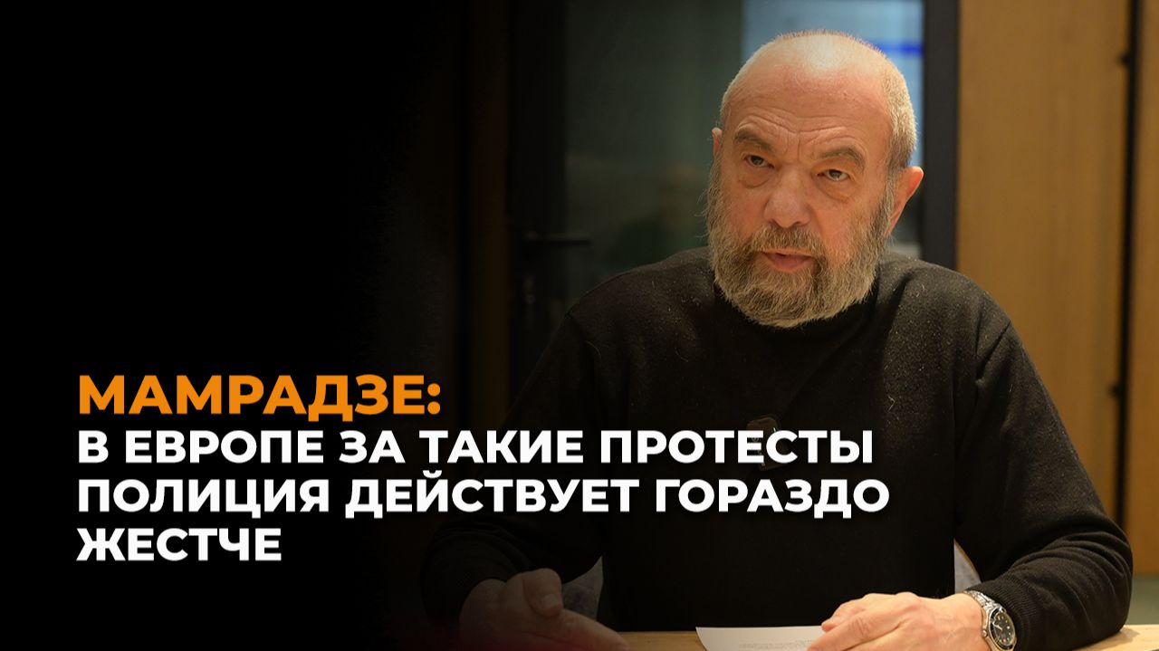 Мамрадзе: в Европе полиция жестоко расправляется с теми, кто нарушает закон