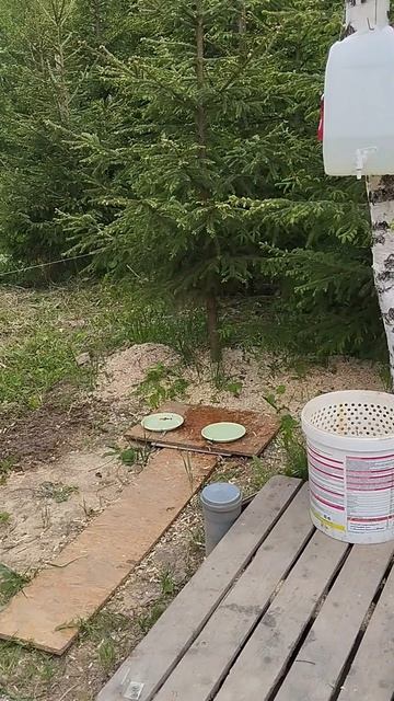 Немец,наш новенький