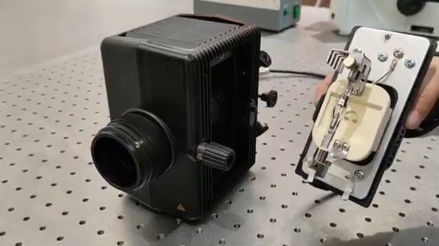 Как собрать флуоресцентный микроскоп MSHOT MF43-N
