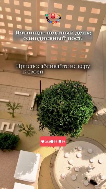 Совет дня!..
