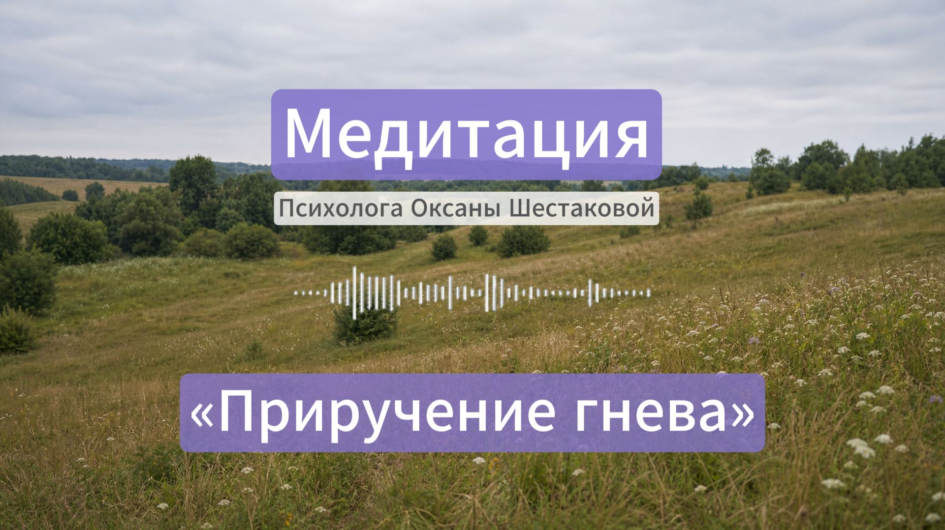 Медитация "Приручение гнева"