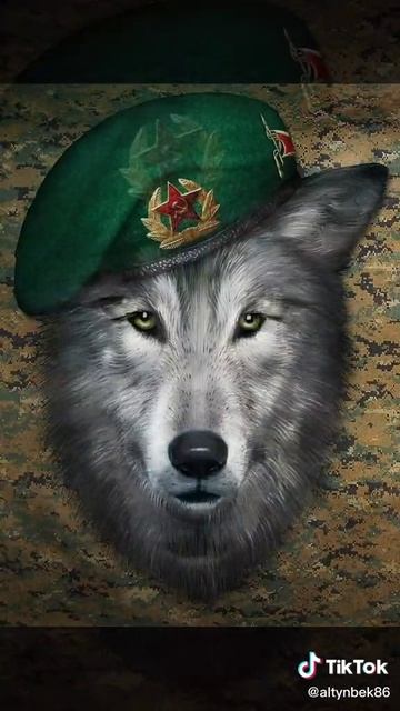 Всех погранцов с праздником!!!