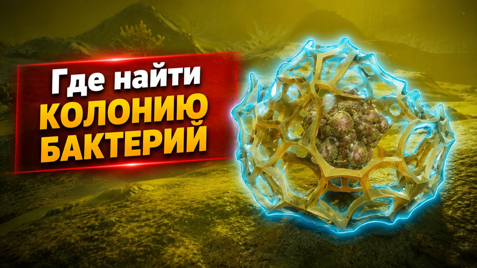 Где найти аксумскую колонию бактерий в Subnautica 2