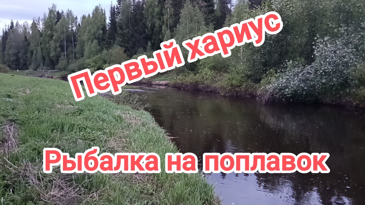 Первый хариус. Рыбалка на поплавок