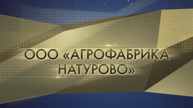 ЛУЧШЕЕ ПРЕДПРИЯТИЕ В СФЕРЕ ТОРГОВЛИ ООО «АГРОФАБРИКА НАТУРОВО»
