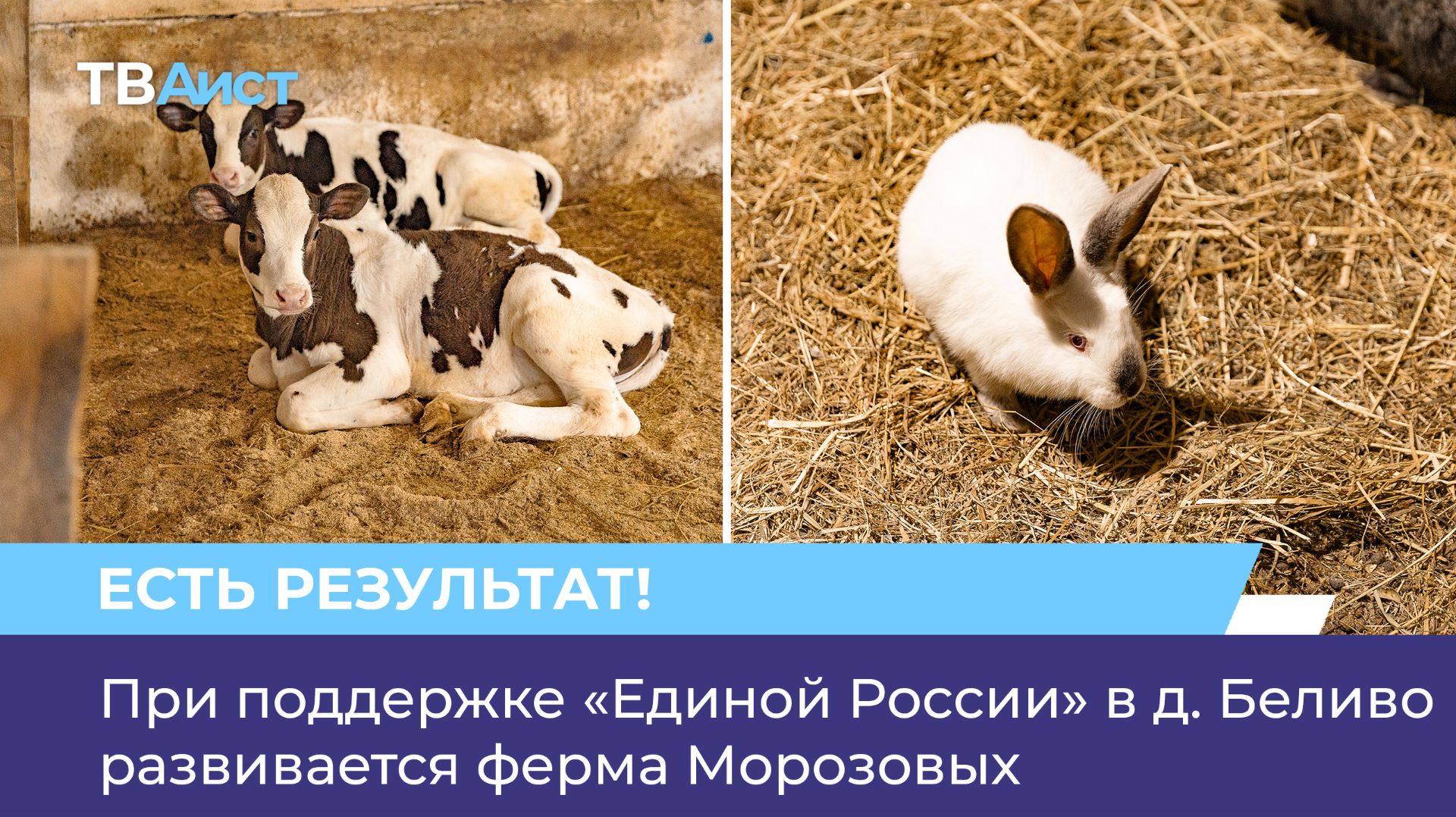 При поддержке «Единой России» в д. Беливо развивается ферма Морозовых