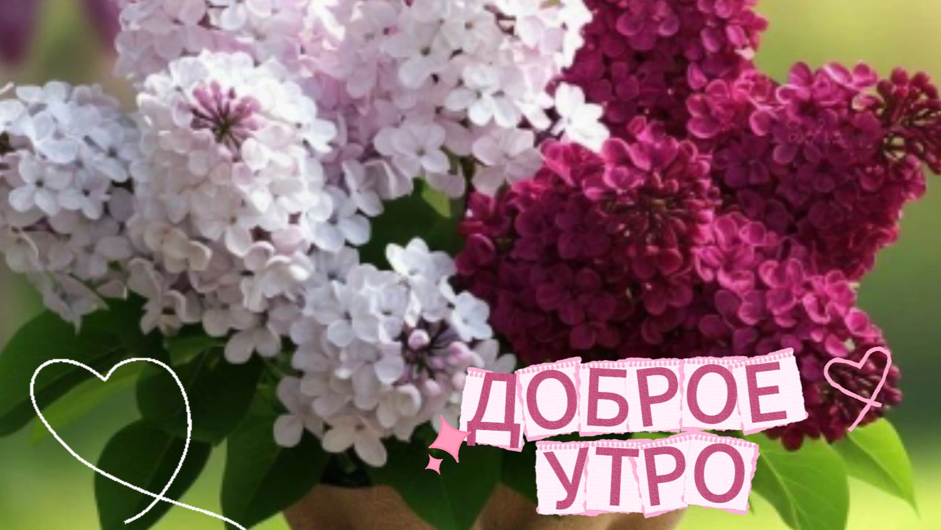 Красивое короткое пожелание с добрым утром – музыкальная открытка