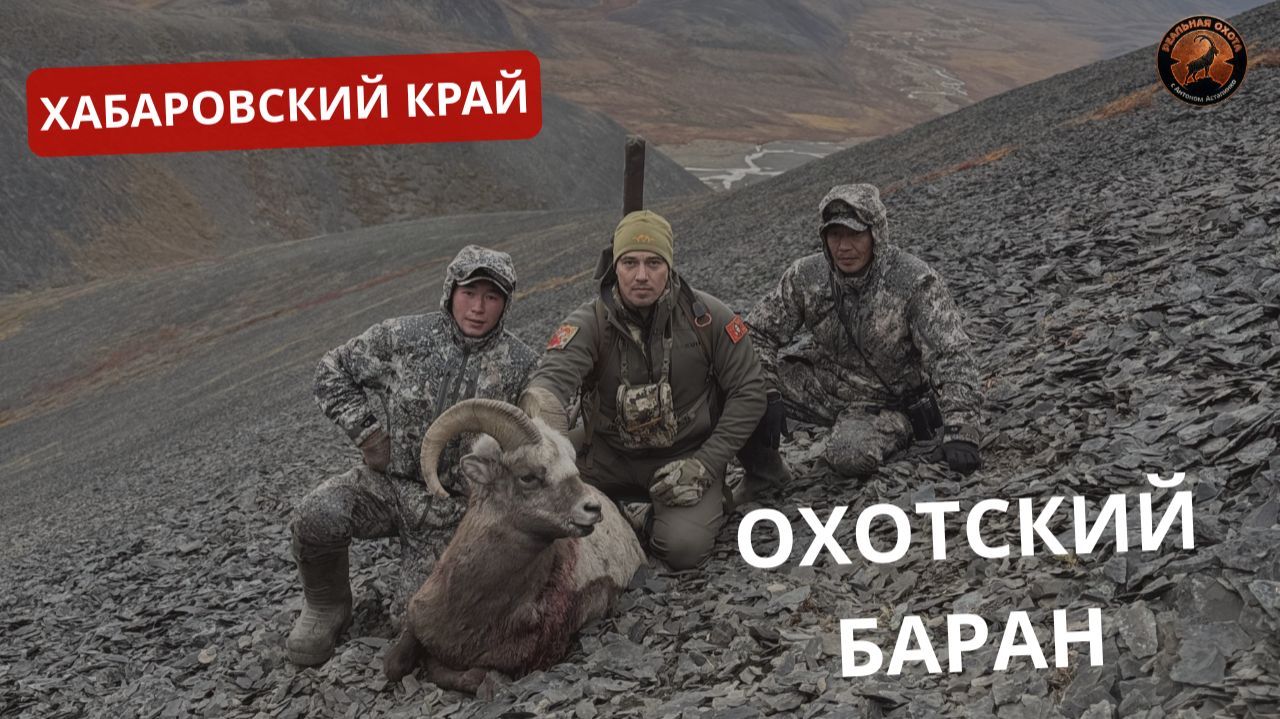 ХАБАРОВСКИЙ КРАЙ | ОХОТСКИЙ БАРАН | РЕАЛЬНАЯ ОХОТА