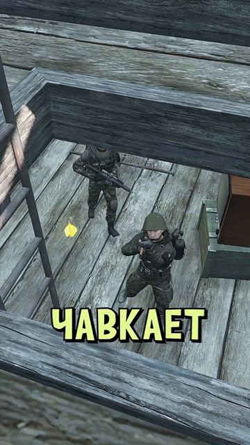 Опять Чавкаю на чердаке у Военных