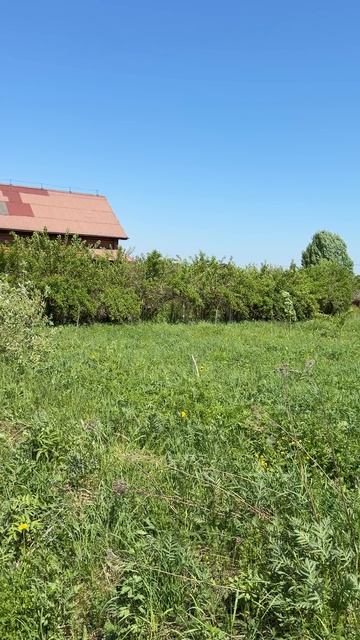 Продаётся участок 10.7 сотки в ДНТ Шаблыкино (КП Тимофеев луг), в 1 км от г.Струнино. Газ. Свет.