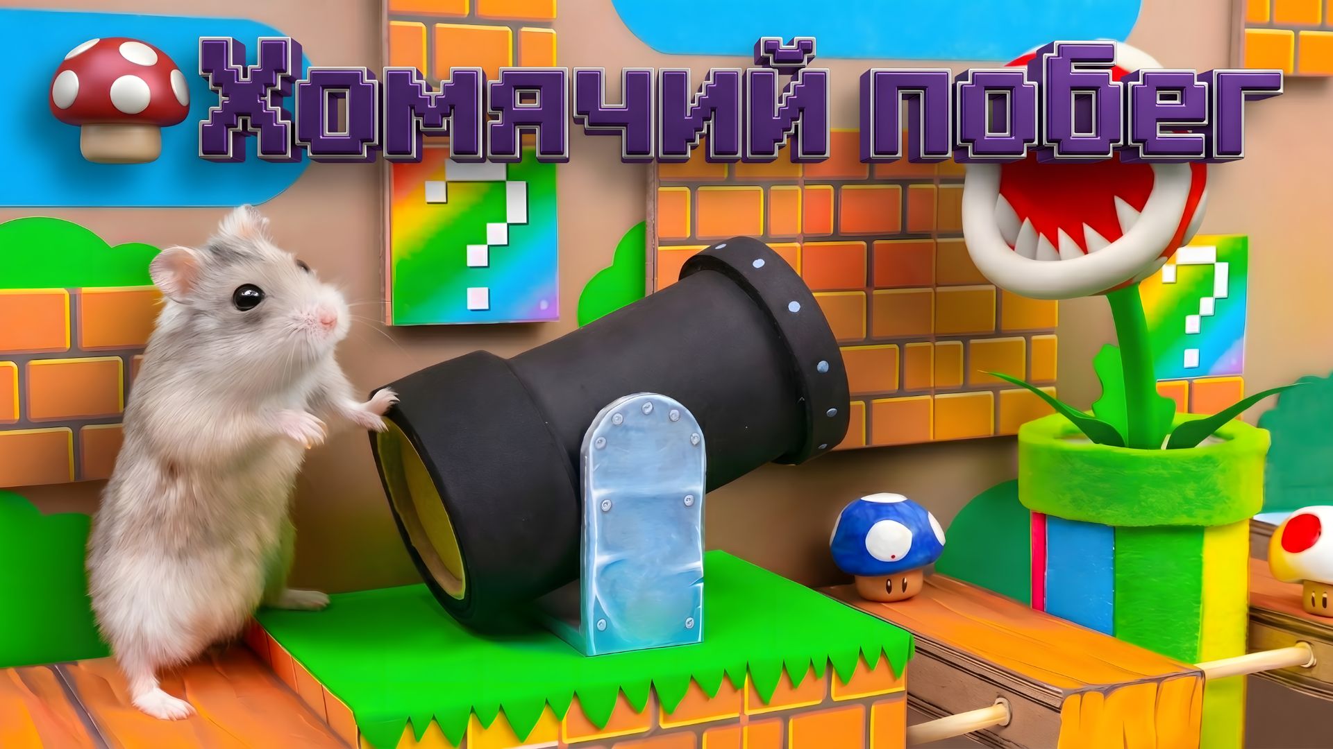 🍄 Хомяк сбегает из Супер Марио лабиринта.