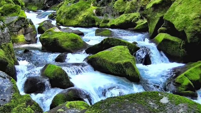 Успокаивает и восстанавливает энергию тела🌿