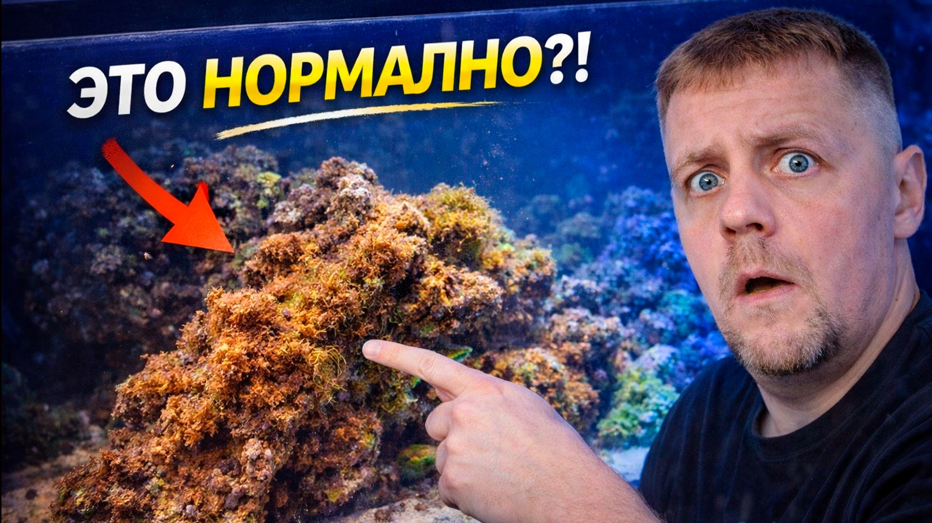 После запуска моря начинается то, о чём не предупреждают