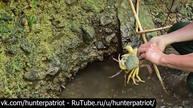 🌲Один день в горах: сбор разноцветных лесных крабов, уход за фермой и животными Жизнь в высокогорье