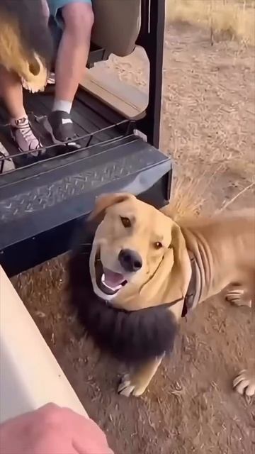 Прикол у туриста.