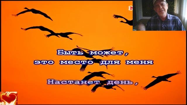 Журавли_2026_05_28