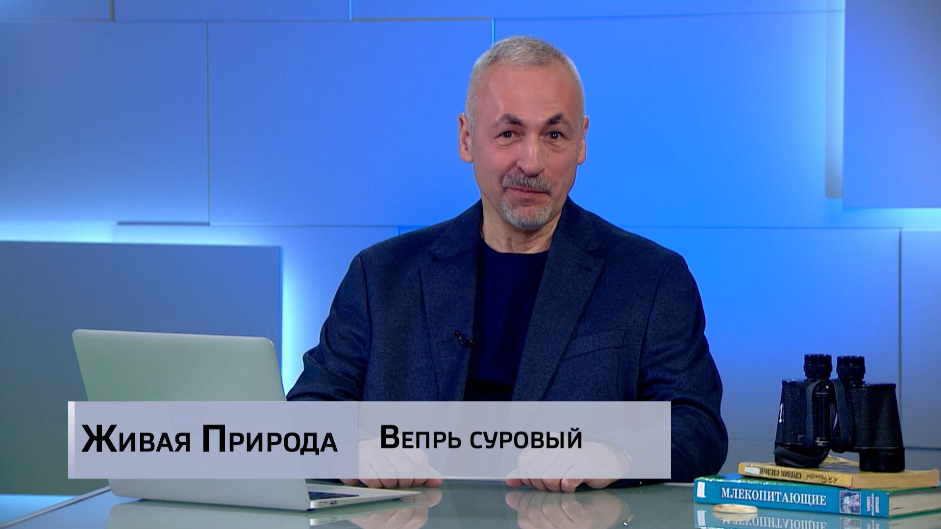Живая природа. "Вепрь суровый"