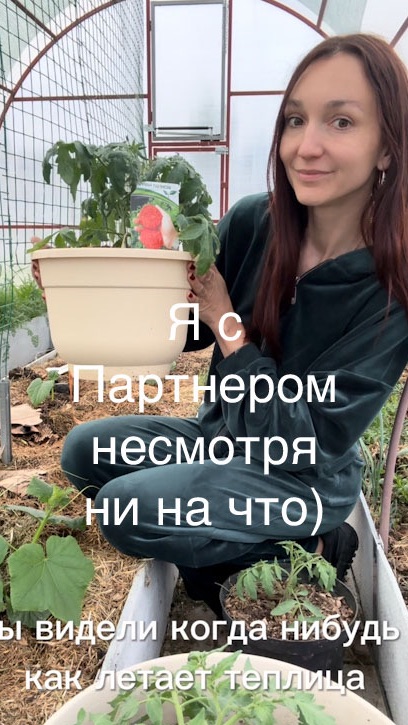 Улетела теплица. Я с #ясПартнером_2этап несмотря ни на что)