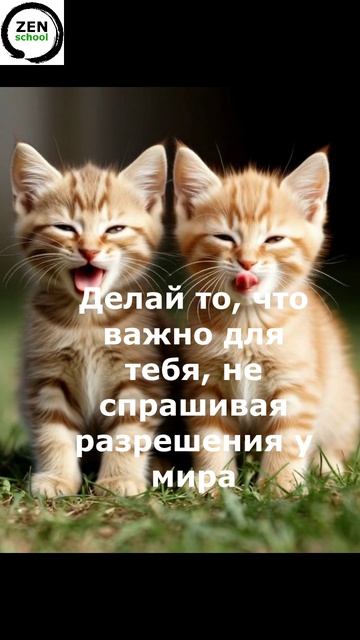 Дзен и кошки