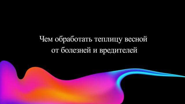 Чем обработать теплицу весной от болезней и вредителей