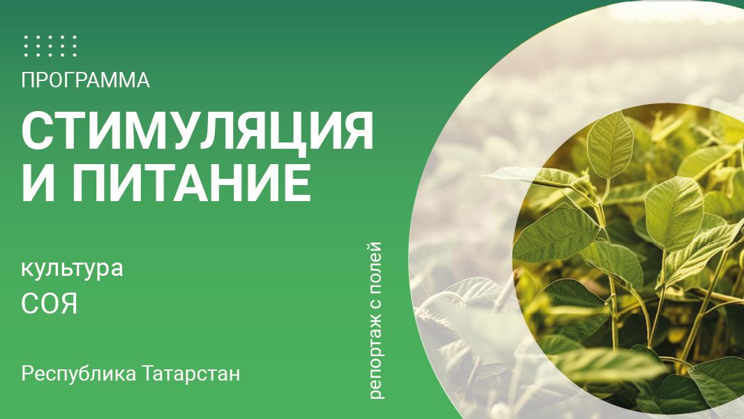 Репортаж с полей. Эффективное применение программы «Стимуляция и питание» на сое