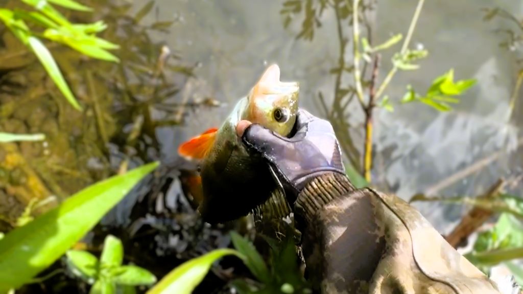 "Золотая рыбка". Кастинг. 28.05.2026 🎣🐟