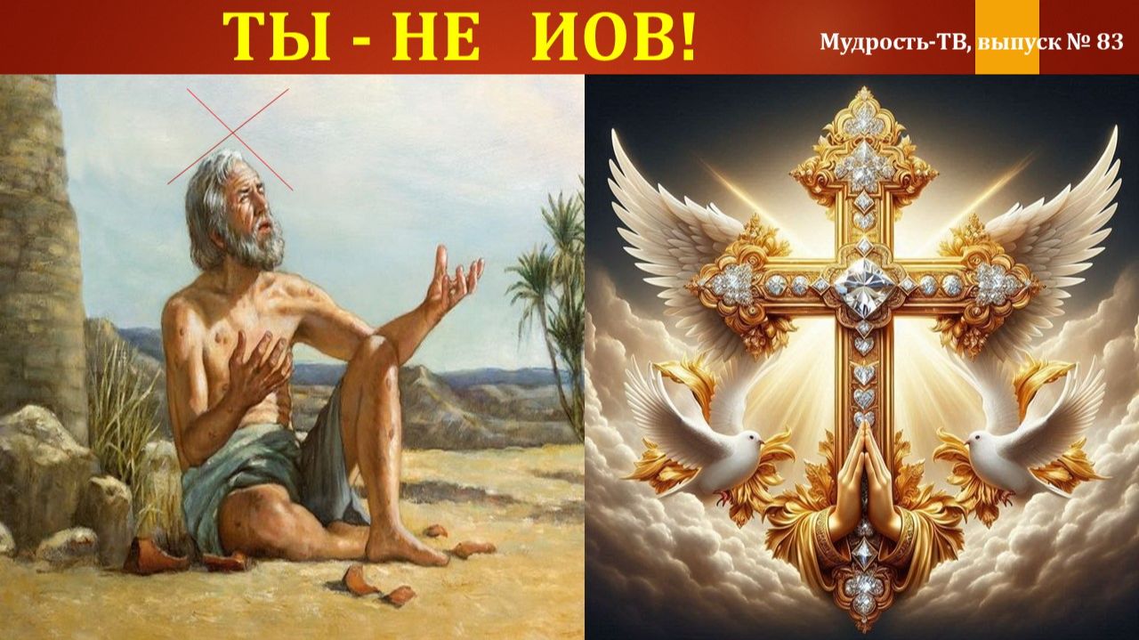 Мудрость-ТВ, выпуск №83. ТЫ НЕ ИОВ!