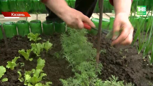 Июнь украли? В Татарстан пришел циклон с грозами и +4 градусами