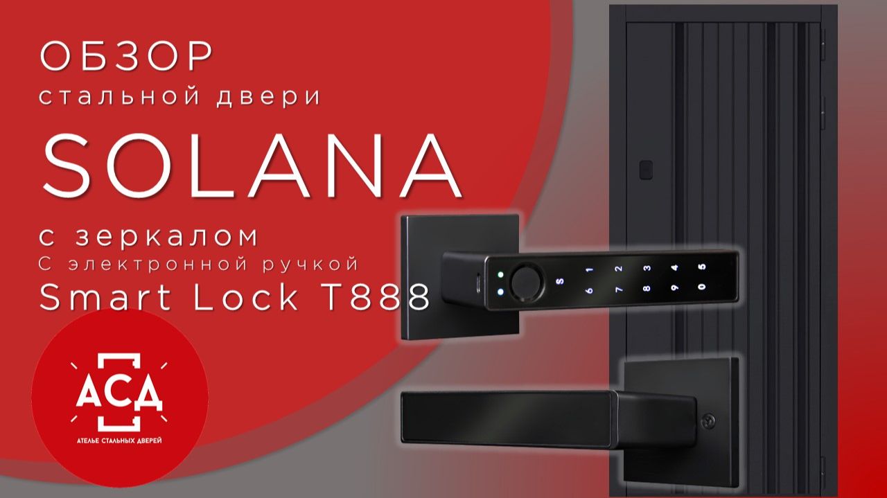 Стальная дверь Solana с зеркалом (биометрическая дверная ручка Smart lock T888)