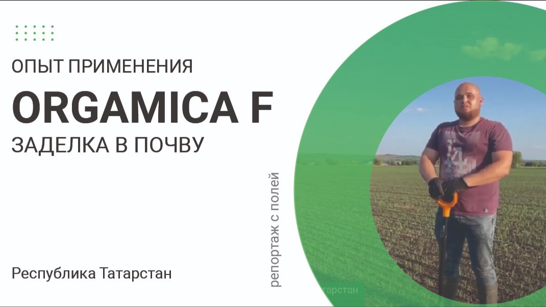 Репортаж с полей. Применение Orgamica F в Мензелинском районе