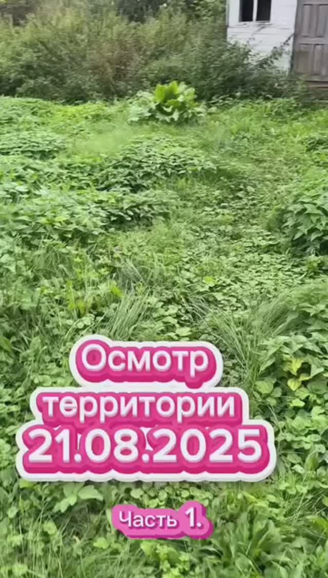 Осмотр территории. 21.08.2025. Часть 1.