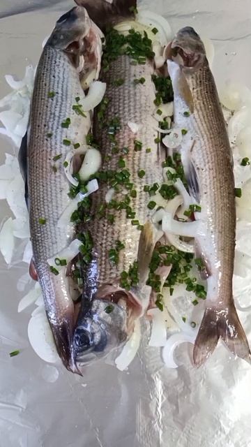 🐟 🤩 Тот самый хариус! 😋🤪