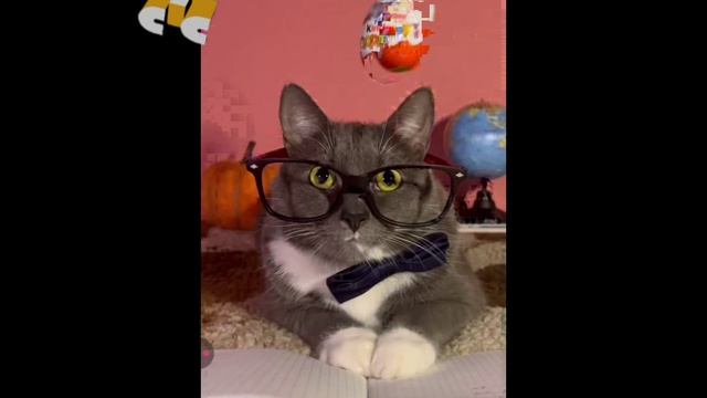 Самый Удалённый Видео Которое Монтировалось На СТС