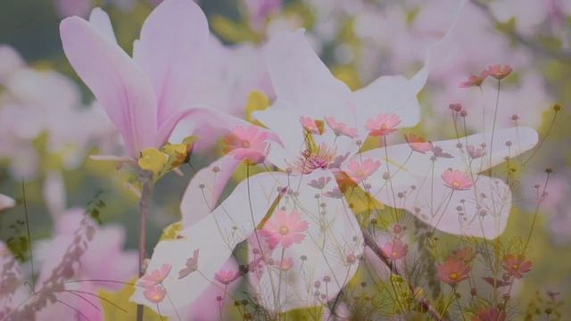 Изучаем книги Живой Этики Духоразумение. Беспредельность 022