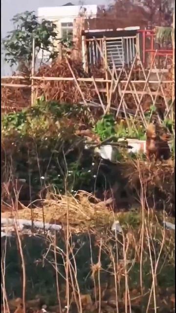 У меня только один вопрос как?🤔😱
