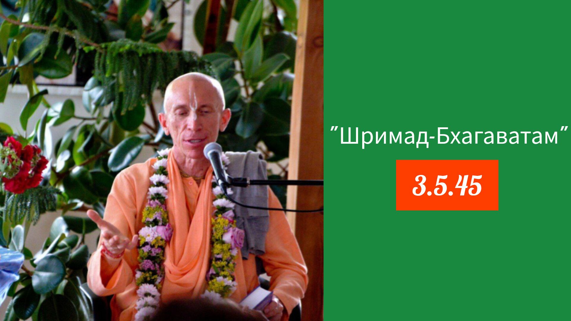 (17.05.26) "Шримад-Бхагаватам" 3.5.45 (Владивосток)